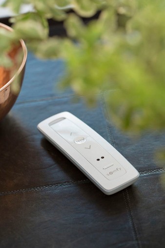 SITUO 1 RTS PURE Ultra-simple and intuitive remote control | Somfy